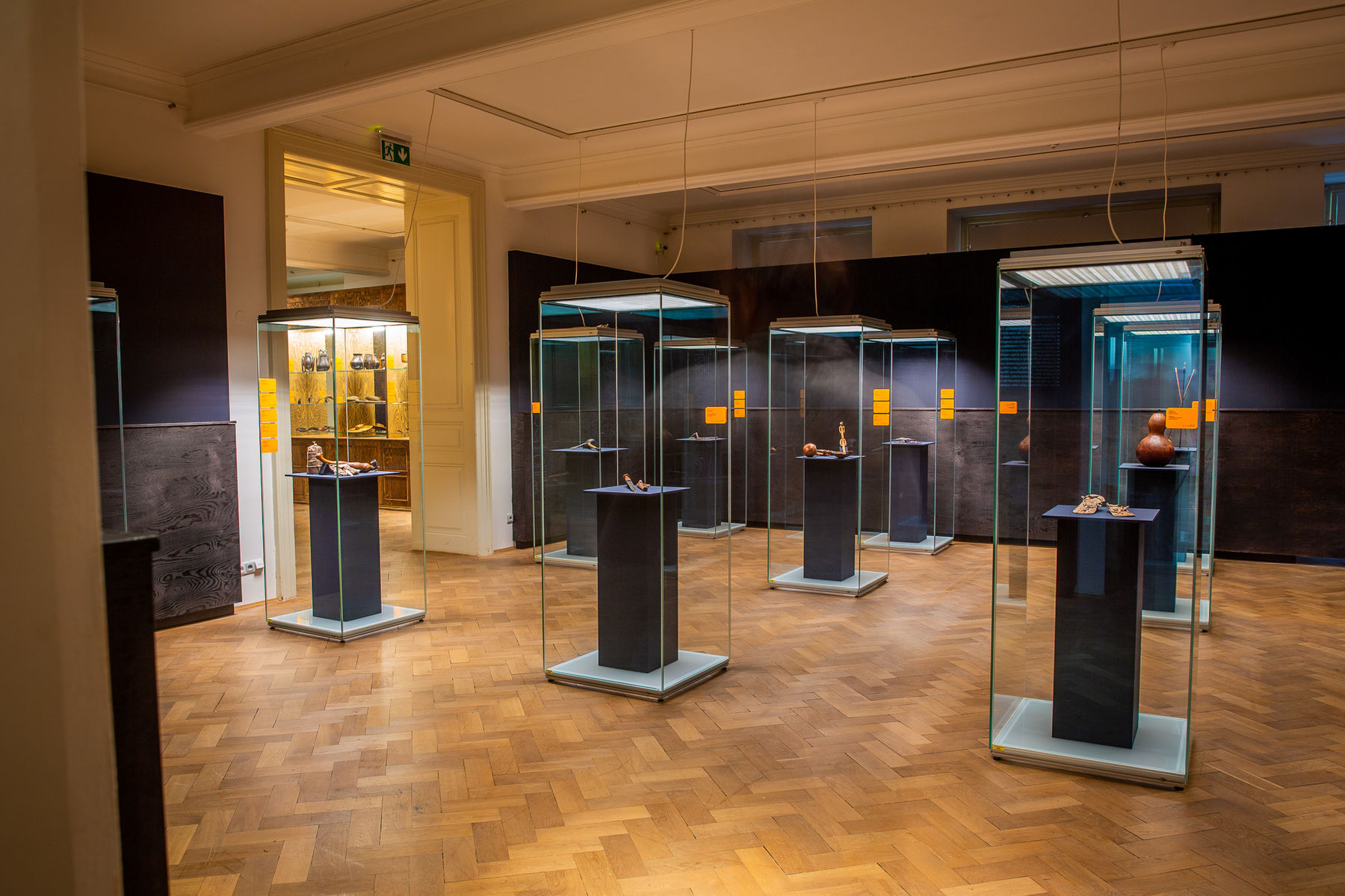 Emil Holub - National museum