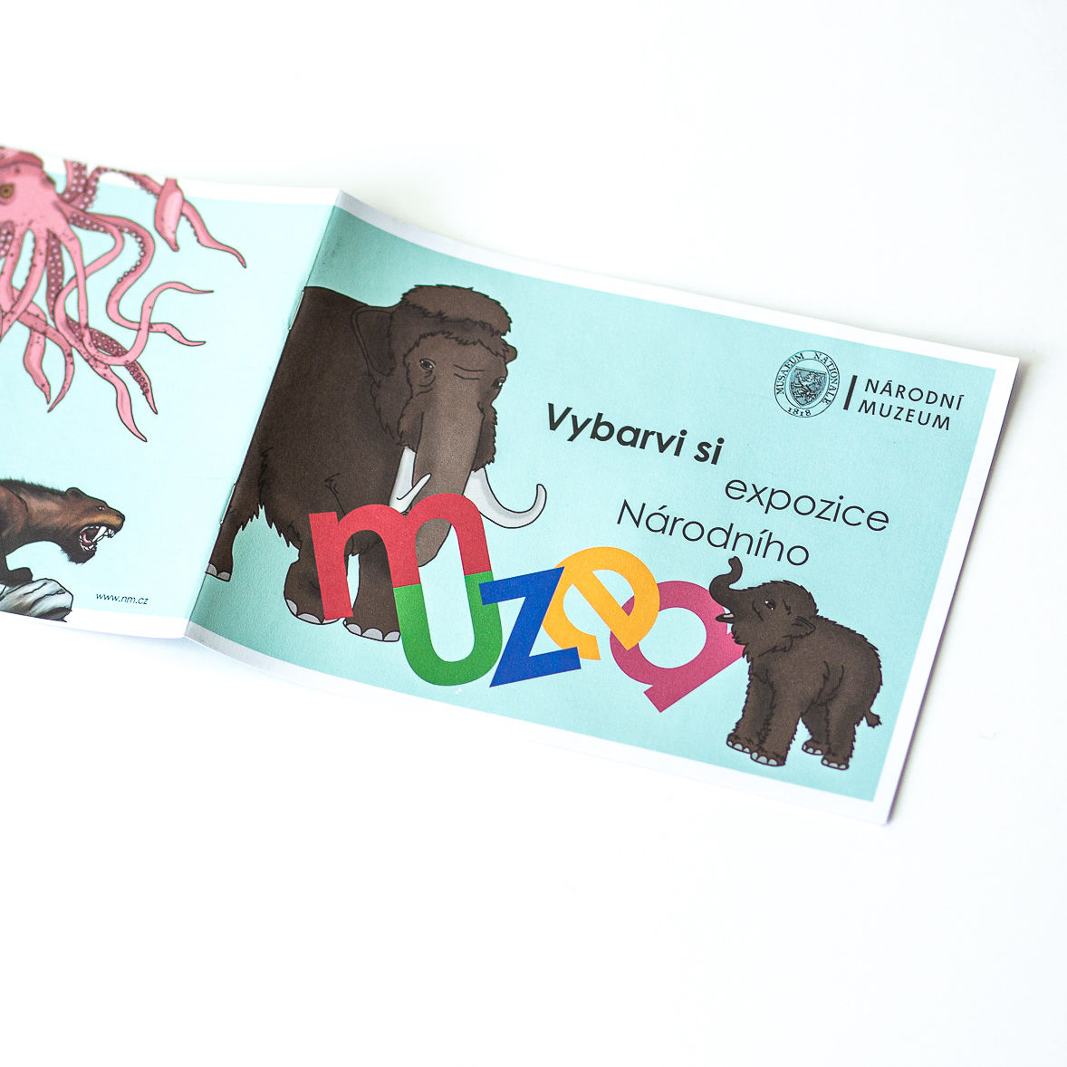 Coloring pages: Color the exhibits of the National Museum - National museum